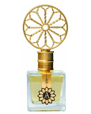 Aer Sample & Decants by Angela Ciampagna – Scent Split