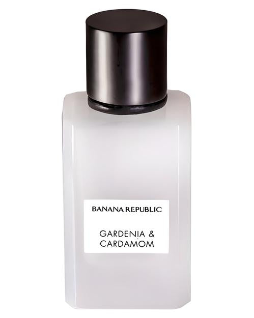 Gardenia & Cardamom Sample & Decants by Banana Republic – Scent Split