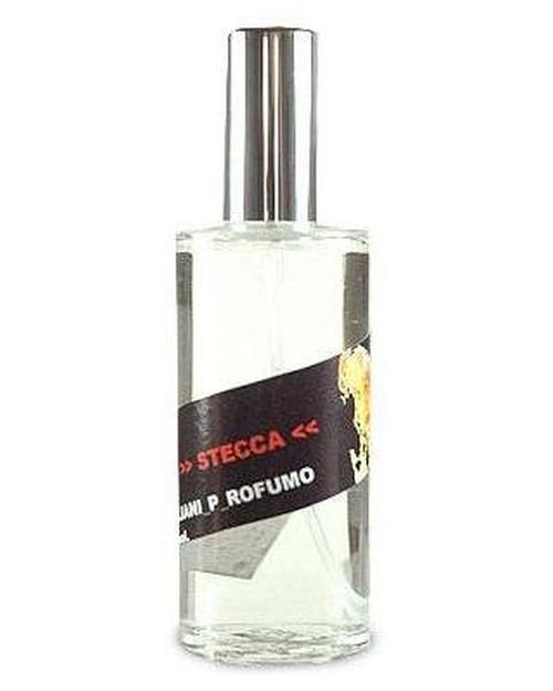 Stecca Sample & Decants by Hilde Soliani – Scent Split