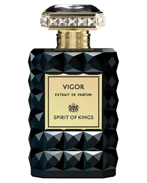 Vigor Sample & Decants by Spirit Of Kings – Scent Split